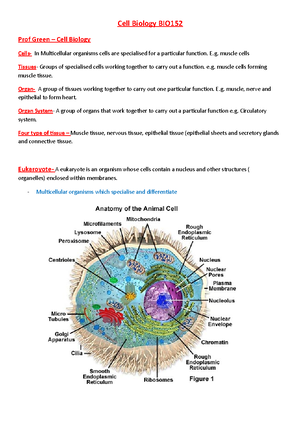 Cell biology - Extracellular matrix – outside of cell Cytoskeleton ...