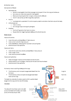B10 Revision notes - GCSE biology - B10 Revision Homeostasis ...