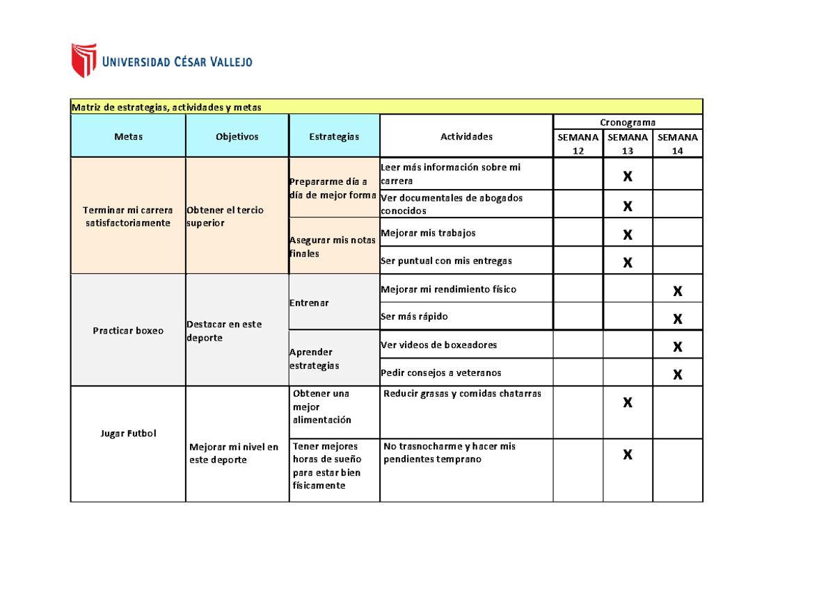 Matriz DE Metas 13 - dfgx d - Matriz de estrategias, actividades y ...
