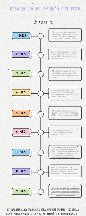 psicologia pre cientifica - Platón y las ideas innatas 6 Cree que ...