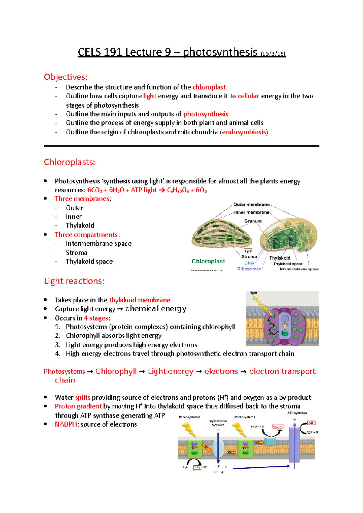 CELS 191 Lecture 9 - CELS 191 Lecture 9 – photosynthesis (15/3/19) Objectives: Describe the ...