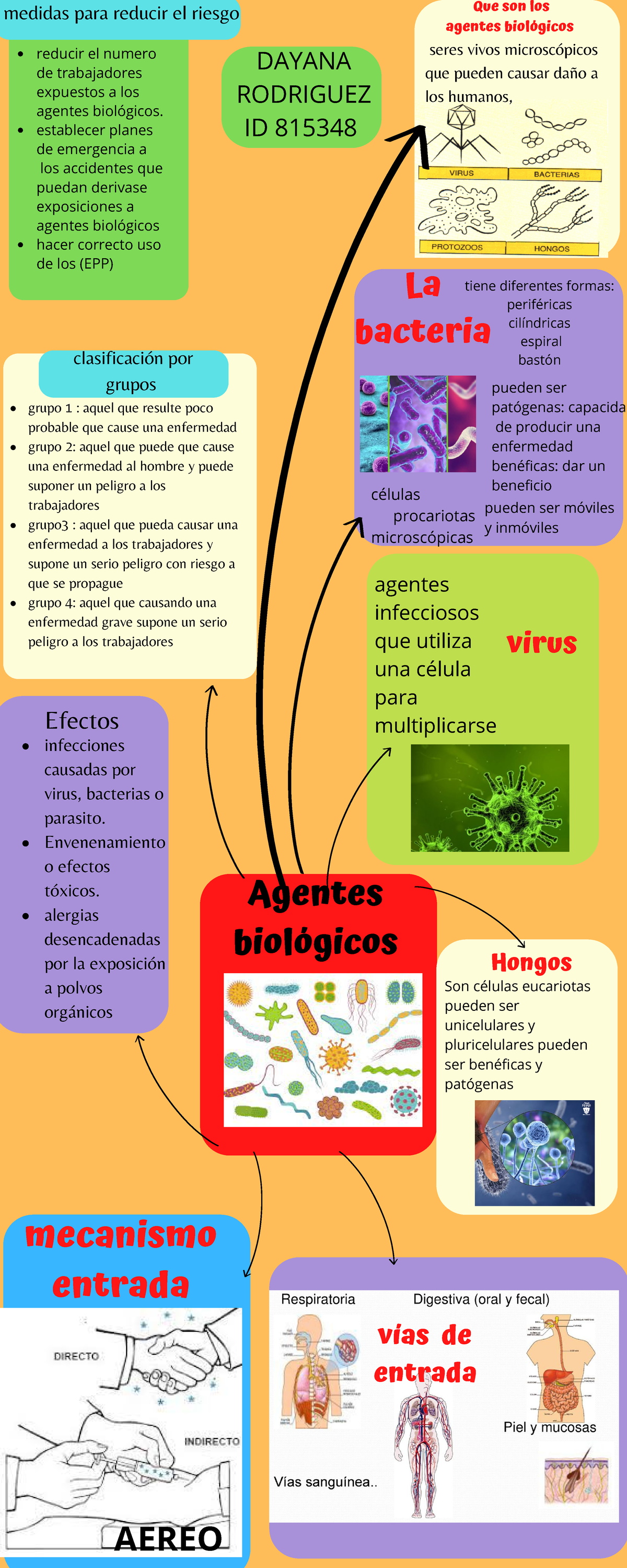 Agentes biológicos (1) - Agentes biológicos Hongos Que son los agentes ...