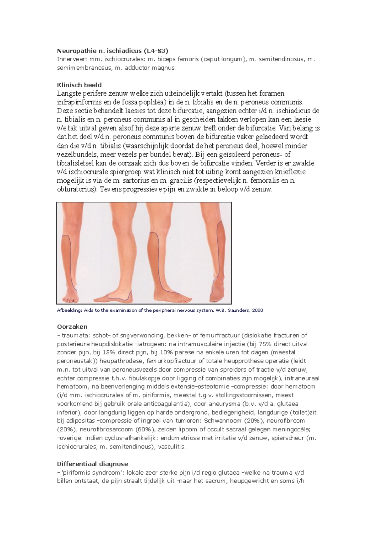Neuropathie n - testen - Neuropathie n. ischiadicus (L4-S3) Innerveert ...