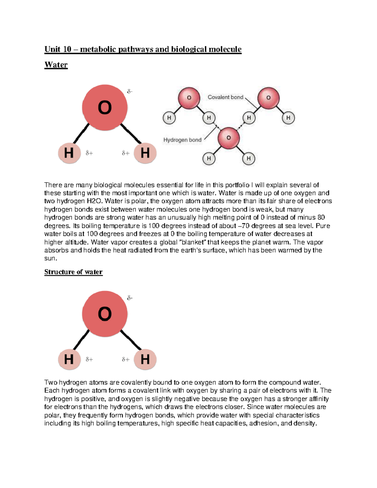 metabolism and pathways - Unit 10 – metabolic pathways and biological ...