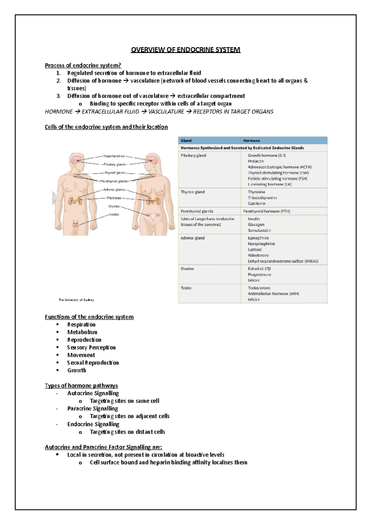 Overview OF Endocrine System - OVERVIEW OF ENDOCRINE SYSTEM Process of ...