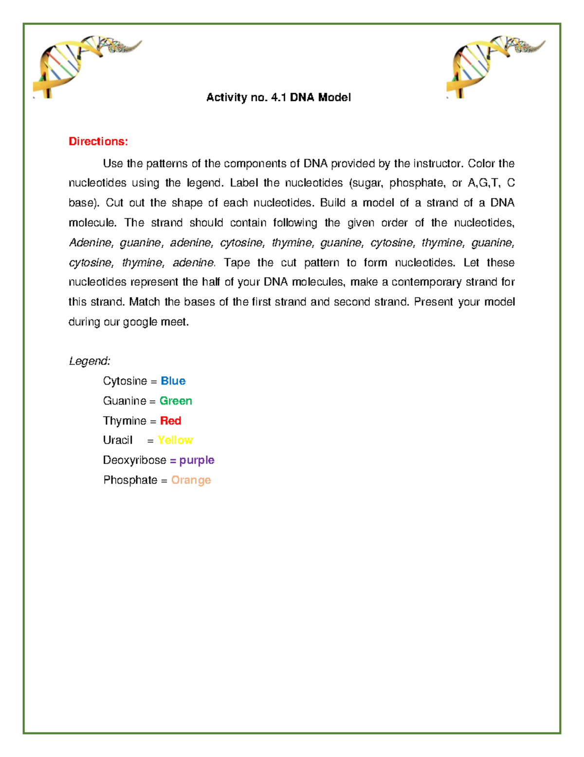 Activity no. 4. 1 DNA Model - Activity no. 4 DNA Model Directions: Use ...