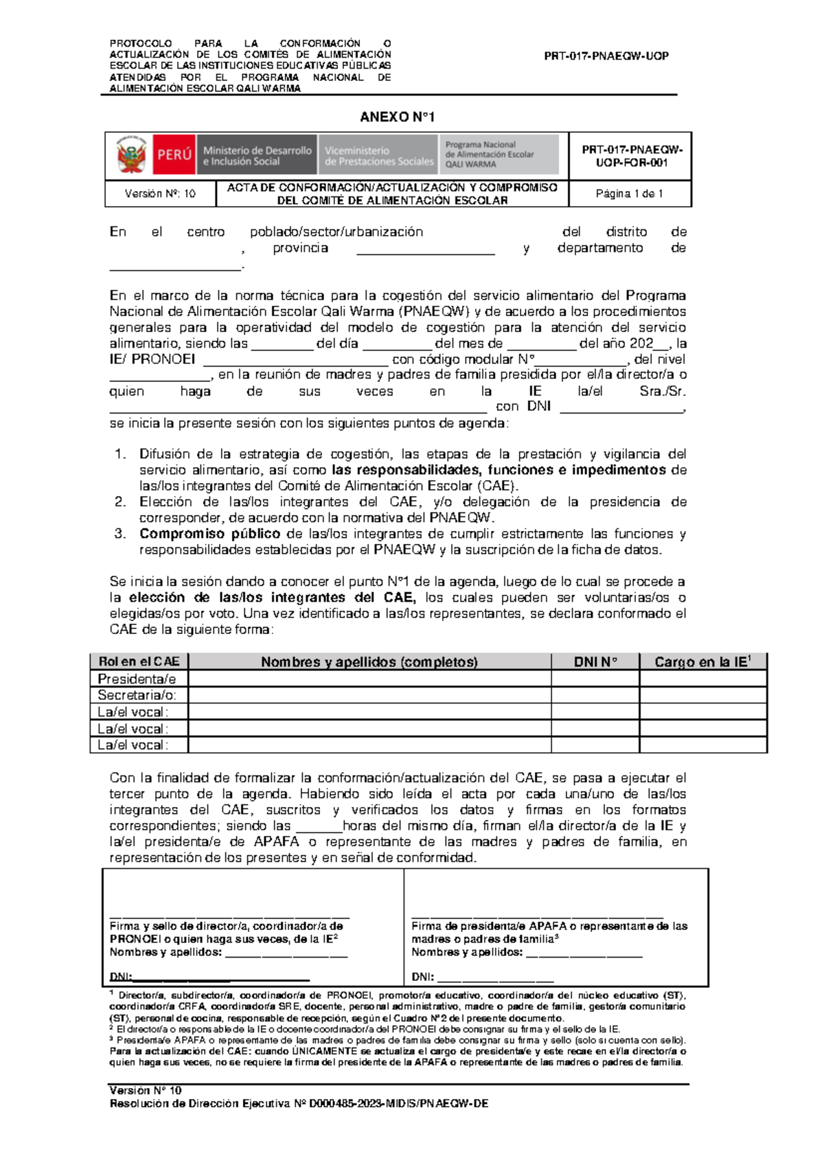 Formatos CAE - 2024- Actualizacion - PROTOCOLO PARA LA CONFORMACIÓN O ACTUALIZACIÓN DE LOS ...