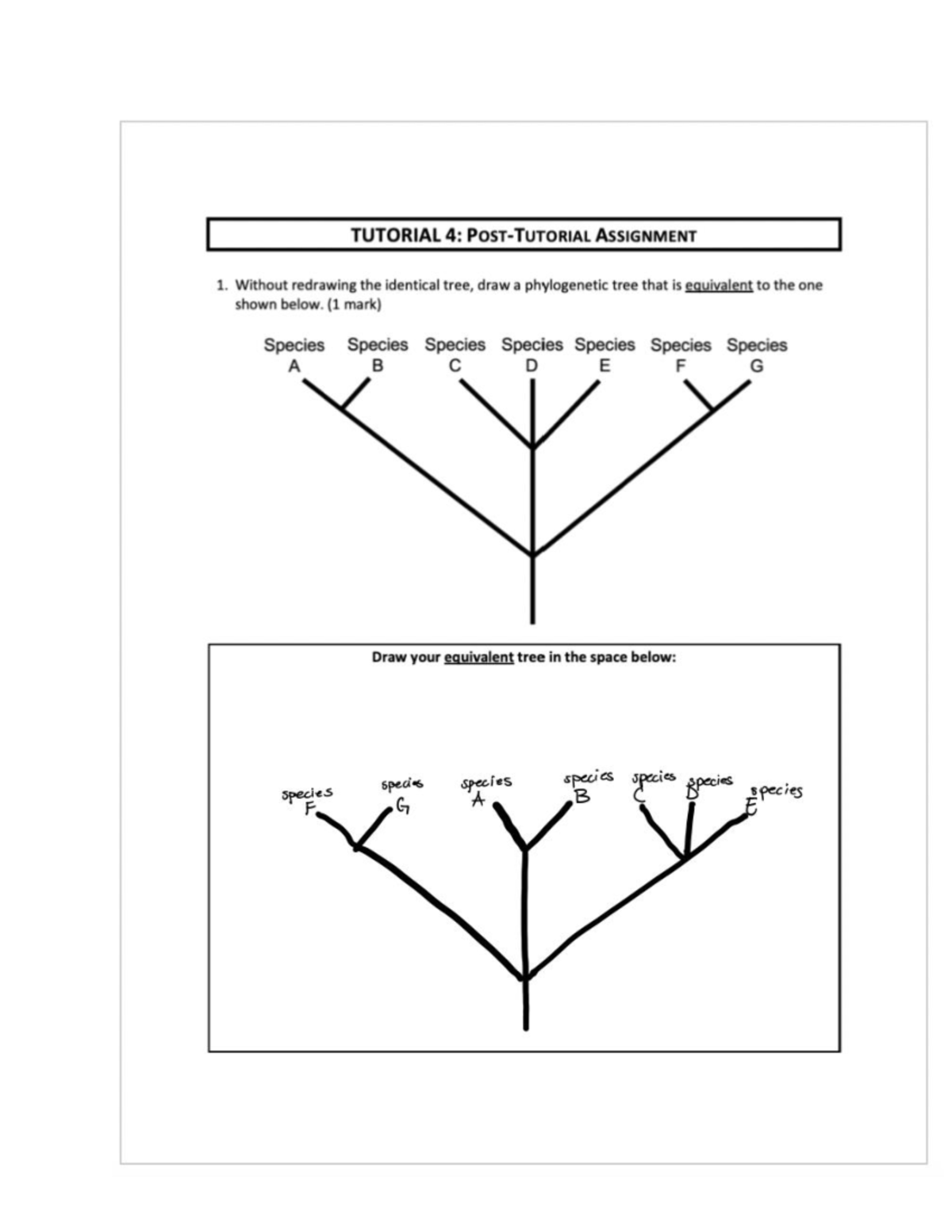 BIO Post-Tutorial 4 - Reflection from bio1A03 tutorial. - Bio 1A03 ...