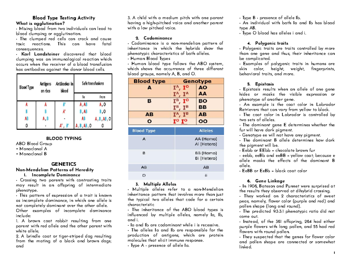 Biology-2- Finals - Biology - Blood Type Testing Activity What is ...