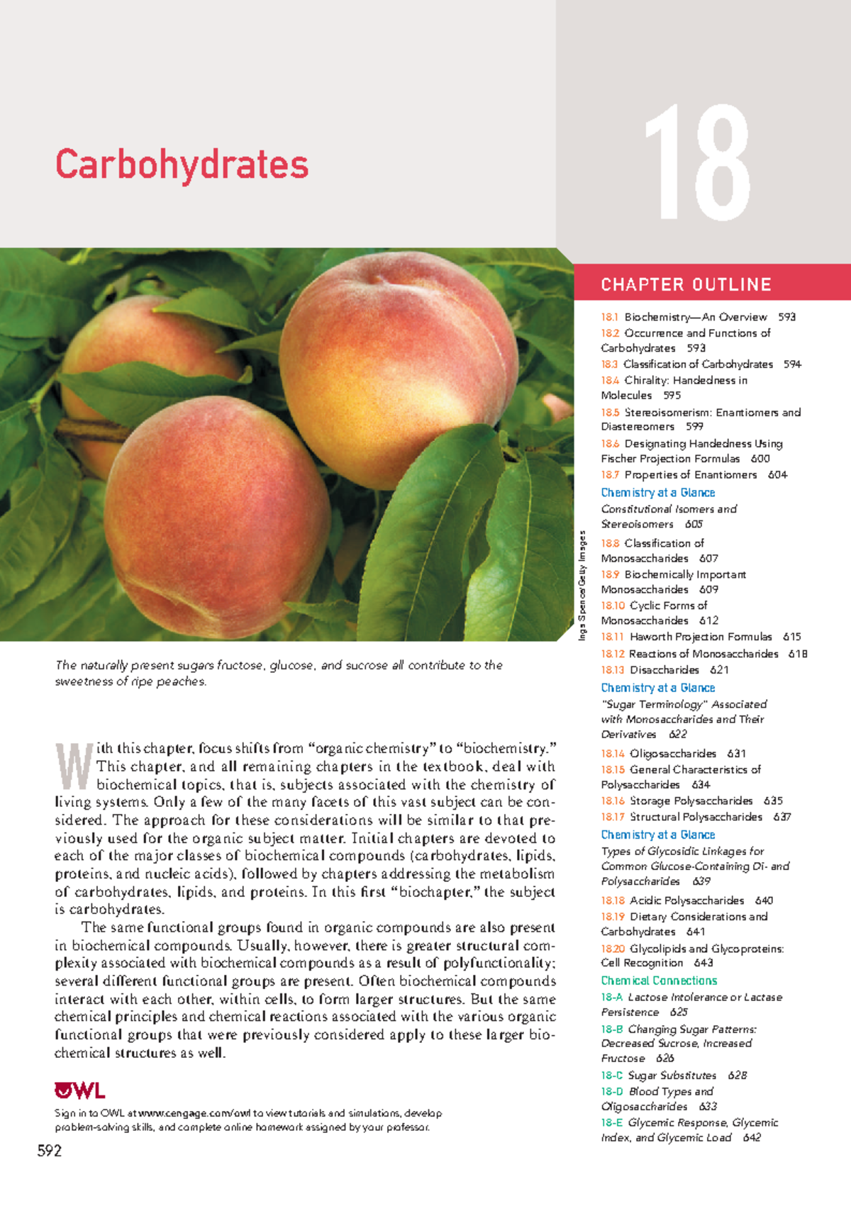 Handouts 6-Carbohydrates - 592 Inga Spence/Getty Images Sign in to OWL ...