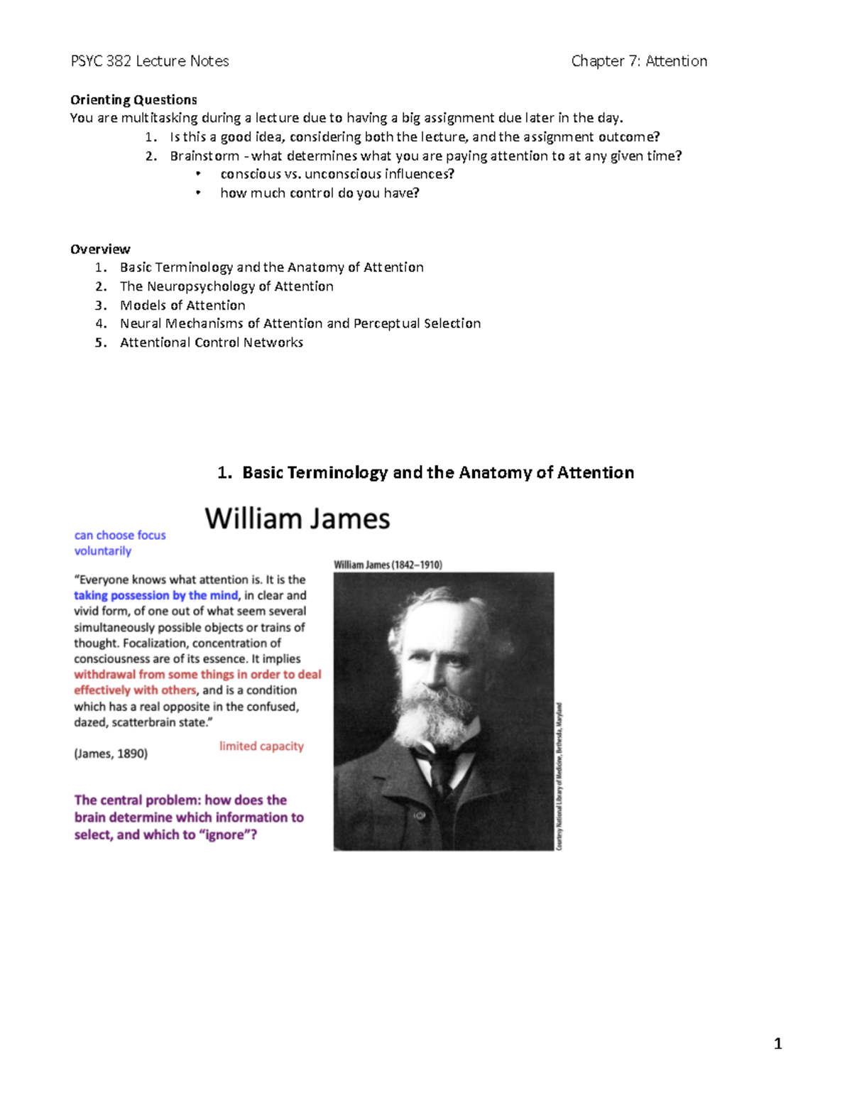 Chapter 7 Notes - cognitive neuroscience - Orienting Questions You are ...