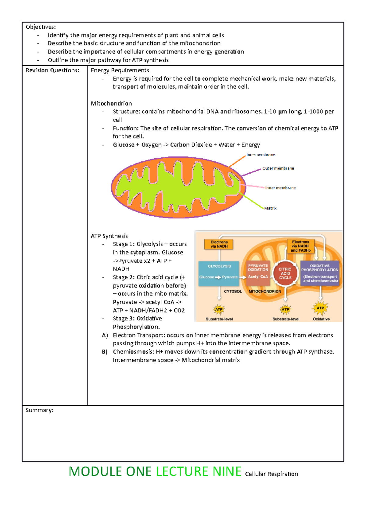 Module 1 Lecture 9 - Cellular respiration - Objectives: - Identify the major energy requirements ...