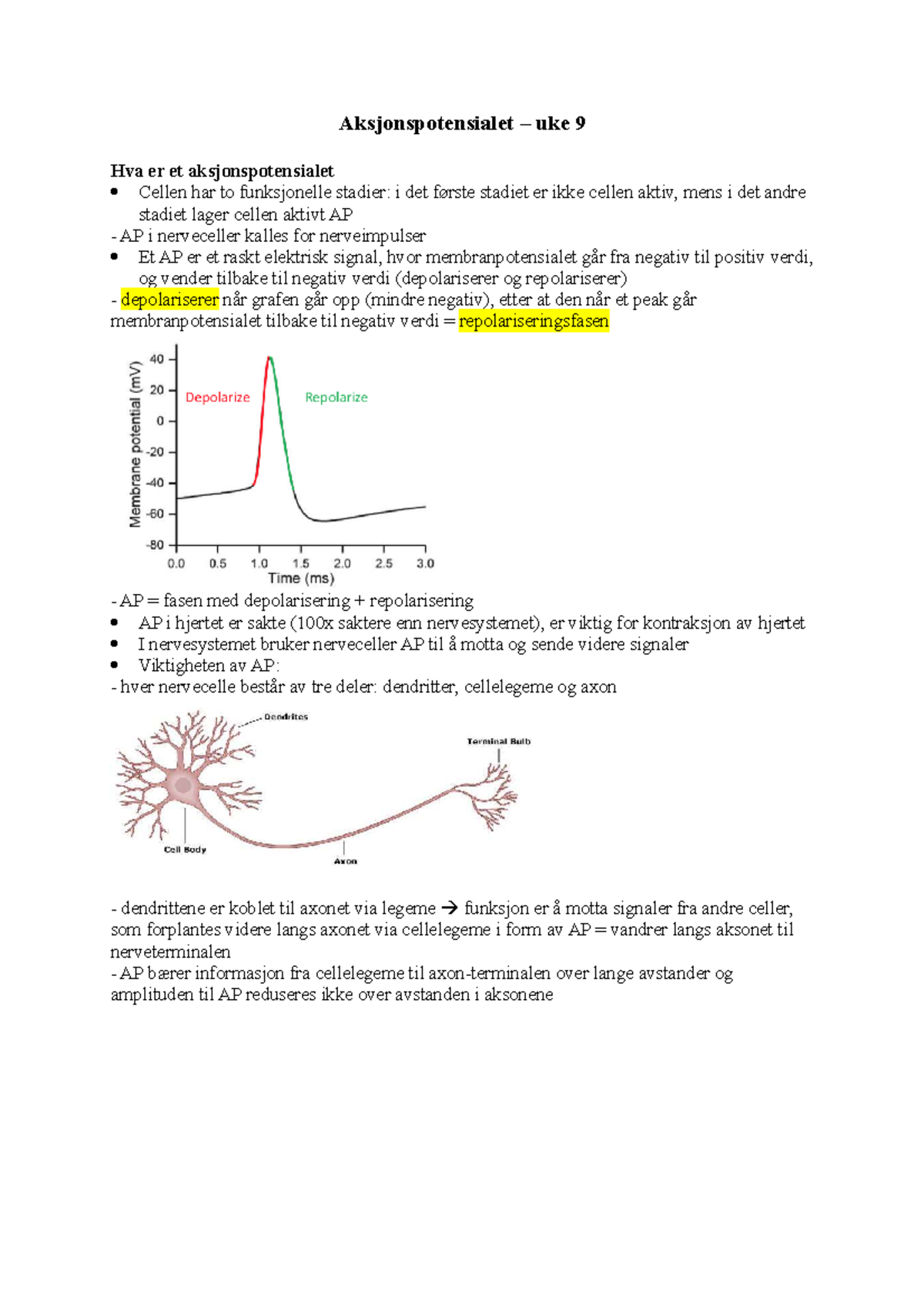 Aksjonspotensial, uke 9 - Aksjonspotensialet – uke 9 Hva er et aksjonspotensialet Cellen har to ...