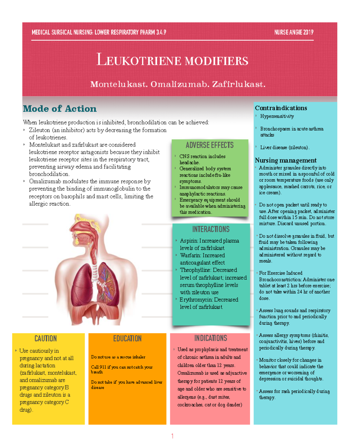 Leukotriene modifiers - Mode of Action When leukotriene production is ...