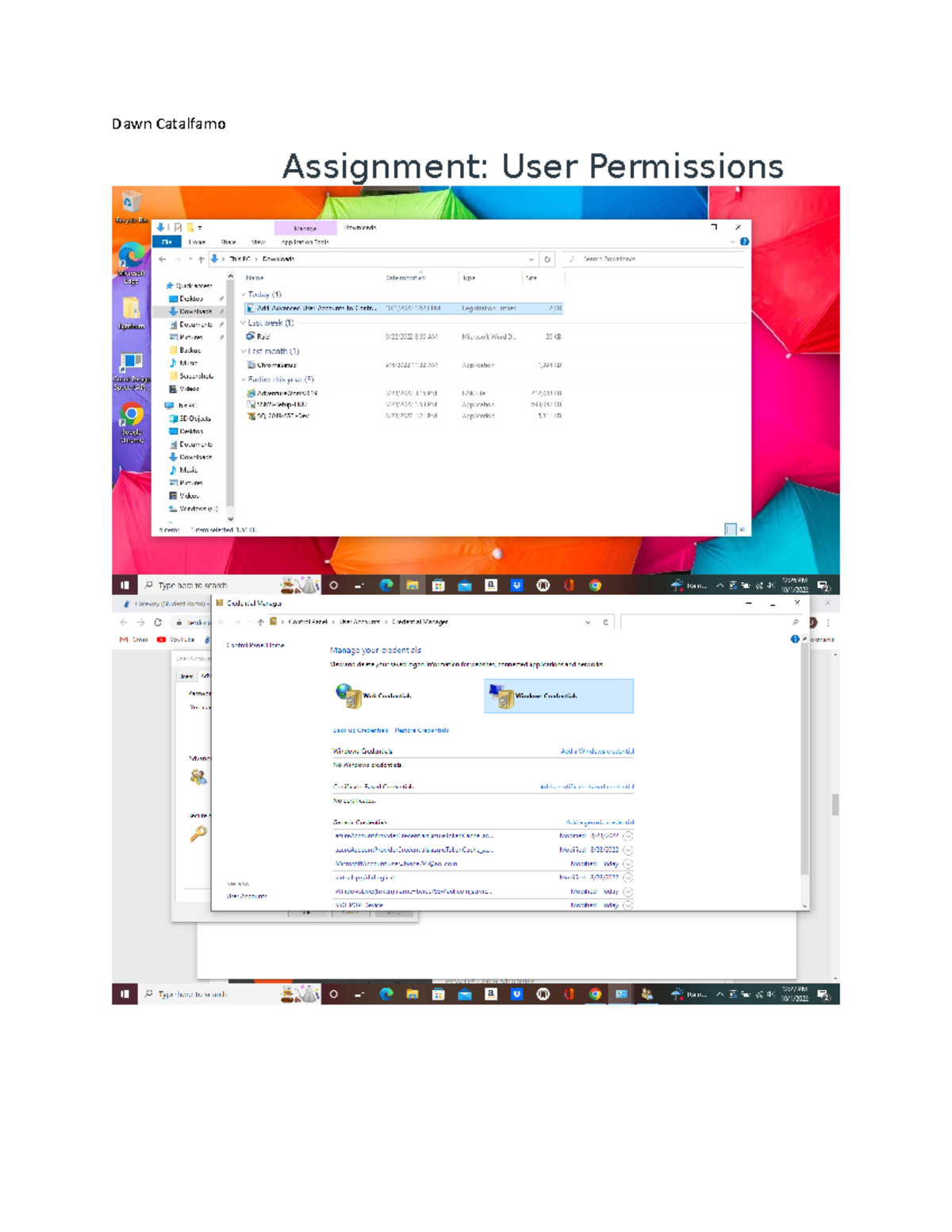 User controls - Perform the assignment below that is appropriate for ...