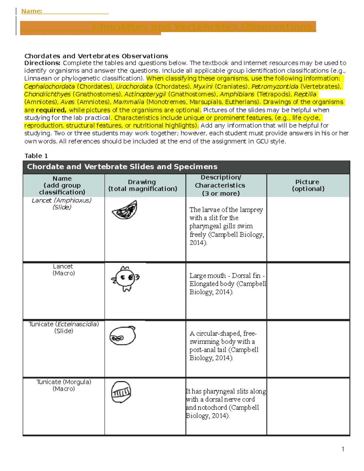 Worksheet Vertebrates - 1 Chordates and Vertebrates Observations ...