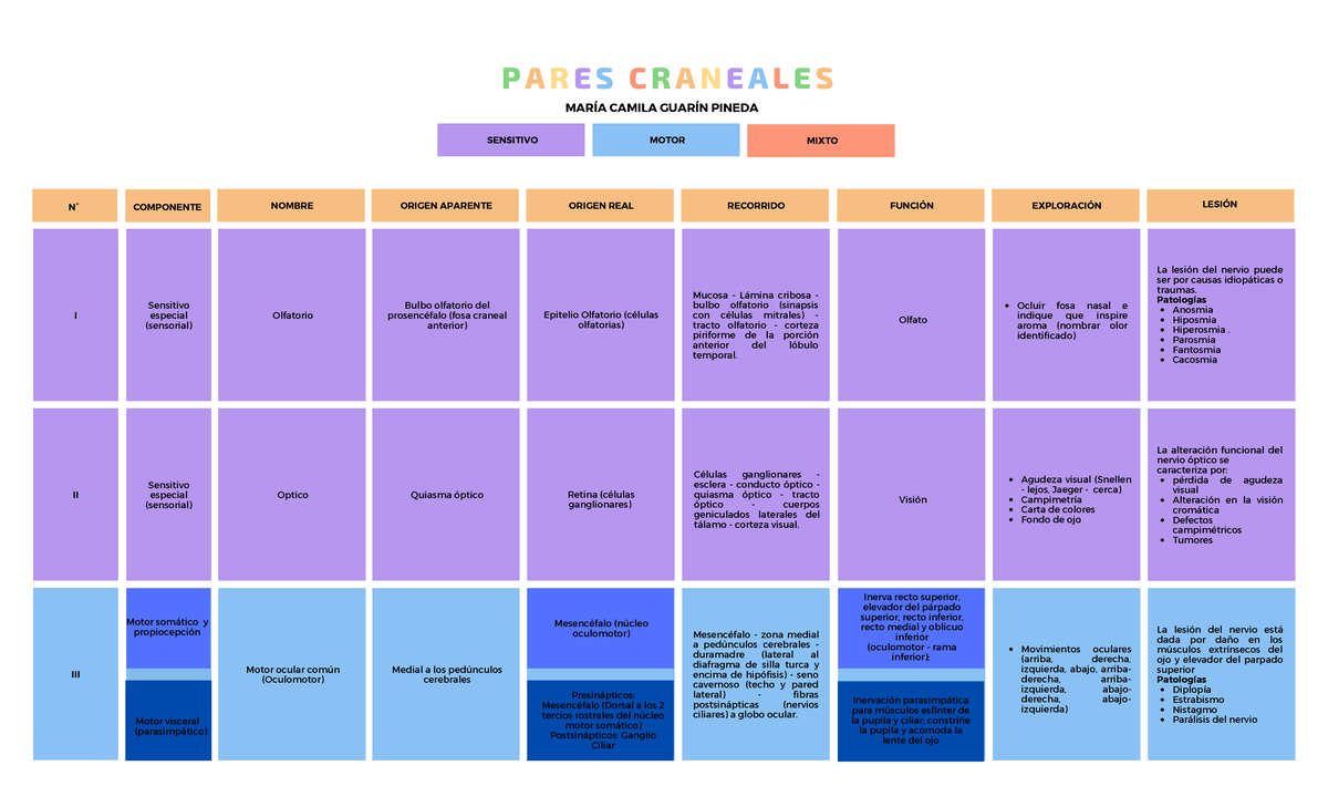 Pares Craneales ( Cuadro) - NOMBRE ORIGEN APARENTE ORIGEN REAL RECORRIDO FUNCIÓN EXPLORACIÓN ...