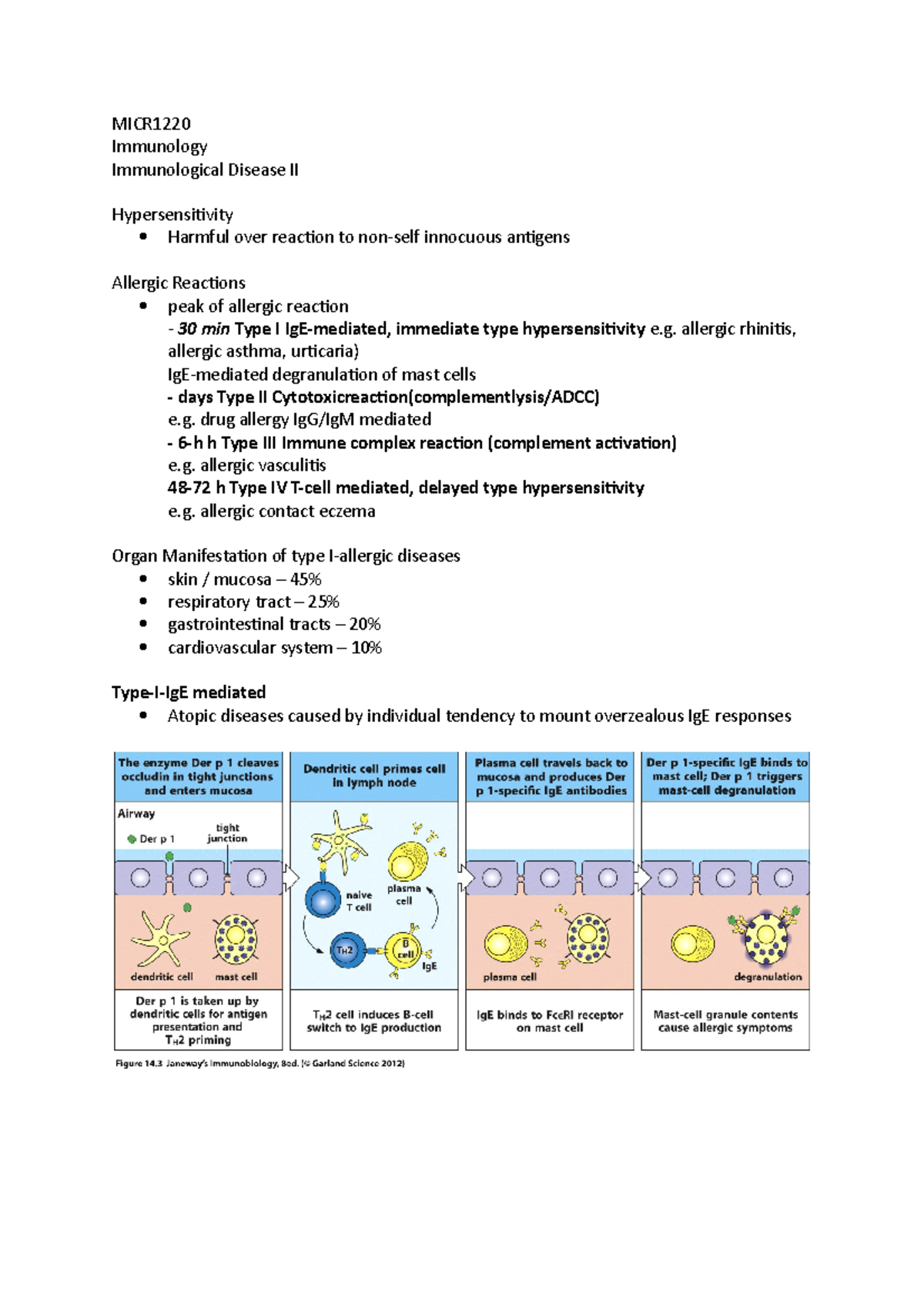 Hypersensitivity - MICR1220 immunology notes - MICR Immunology ...