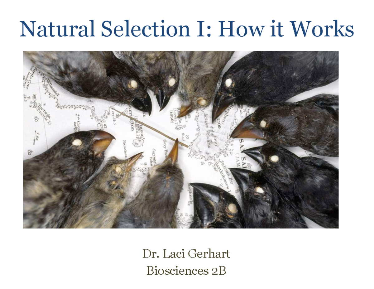 13 14 Natural Selection - BIS 2A - UC Davis - Studocu