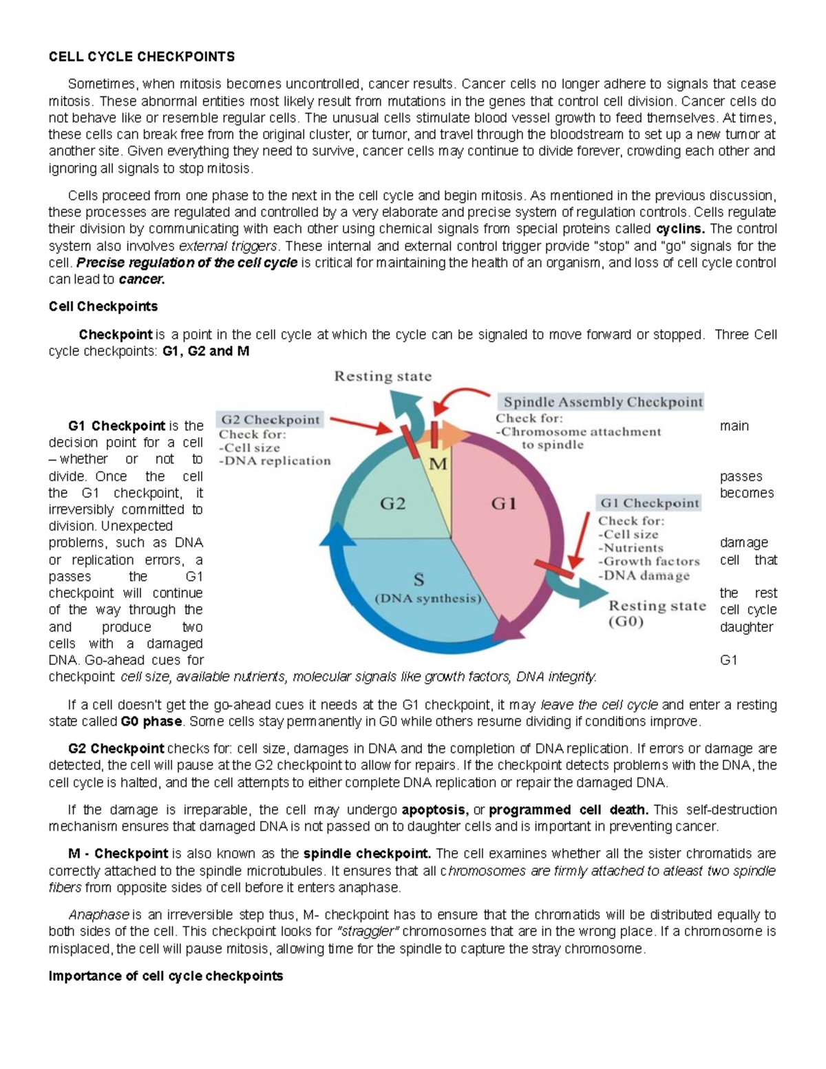 CELL CYCLE CHECKPOINTS - CELL CYCLE CHECKPOINTS Sometimes, when mitosis ...