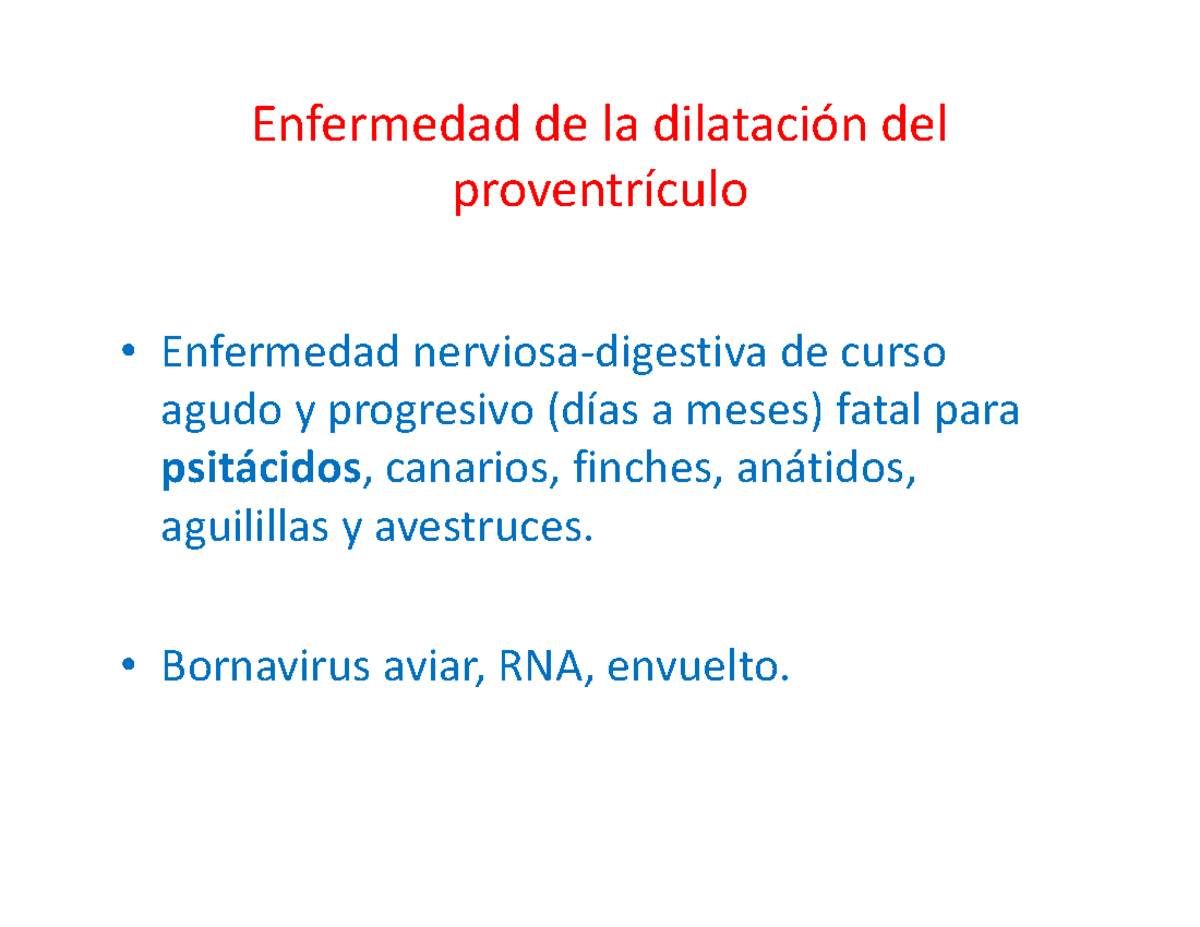 Enfermedad Dilatación Proventriculo 2016 - Enfermedad de la dilatación ...