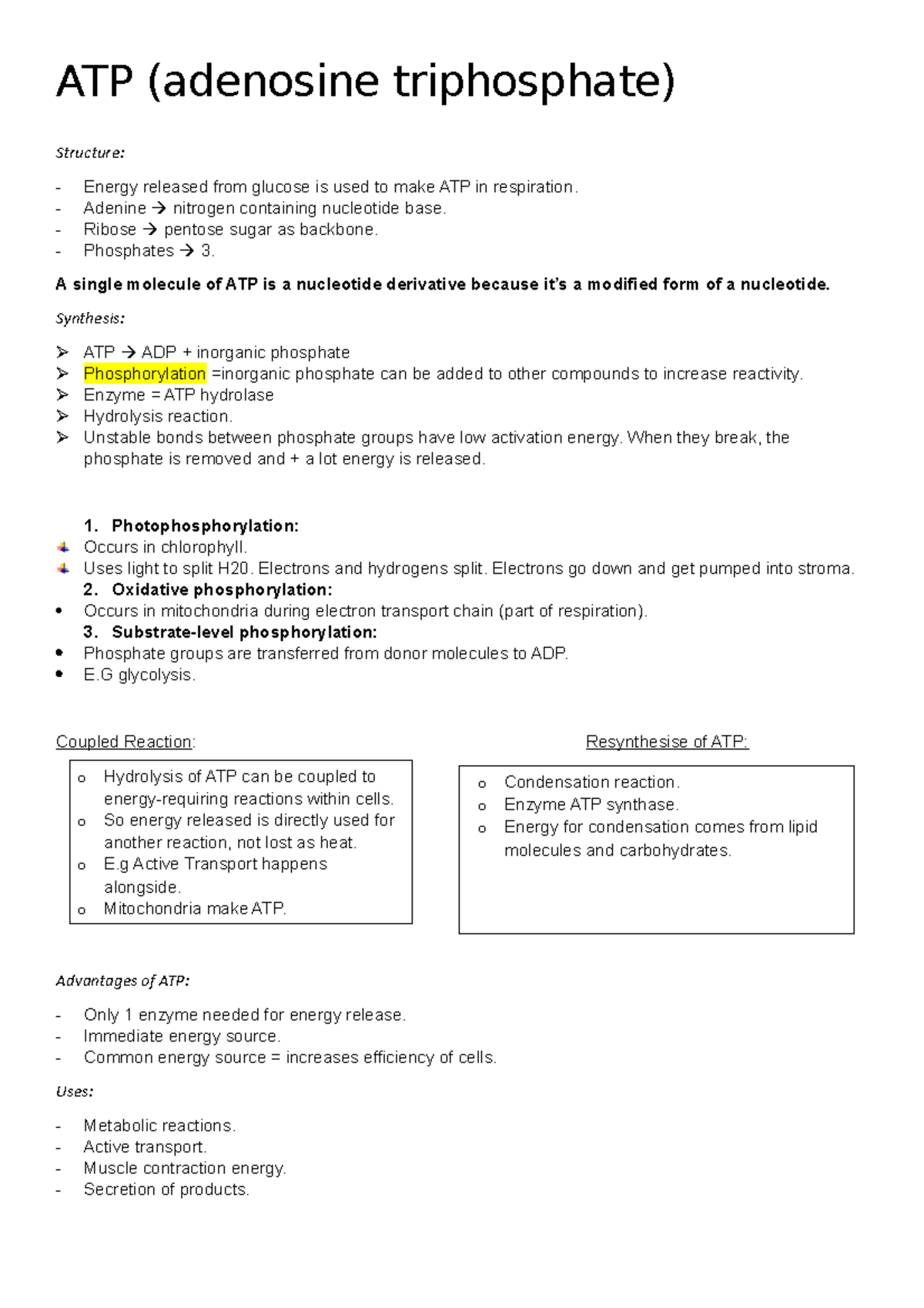 A Level Biology - ATP notes - ATP (adenosine triphosphate) Structure ...