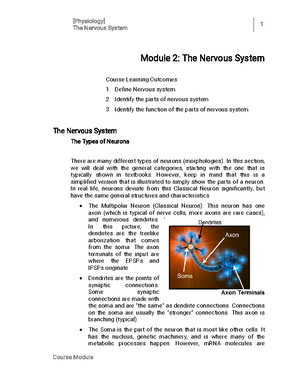Patient-information - Patient-information - Date of Assessment: April 2 ...