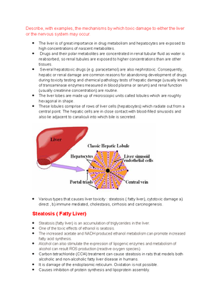 Bioactivation - Toxicology - Write an essay on either (a) metabolic ...