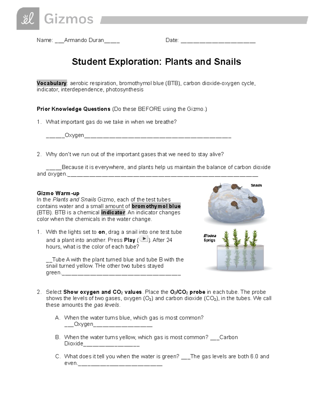 Student Exploration Plants And Snails Name Armando Duran Date