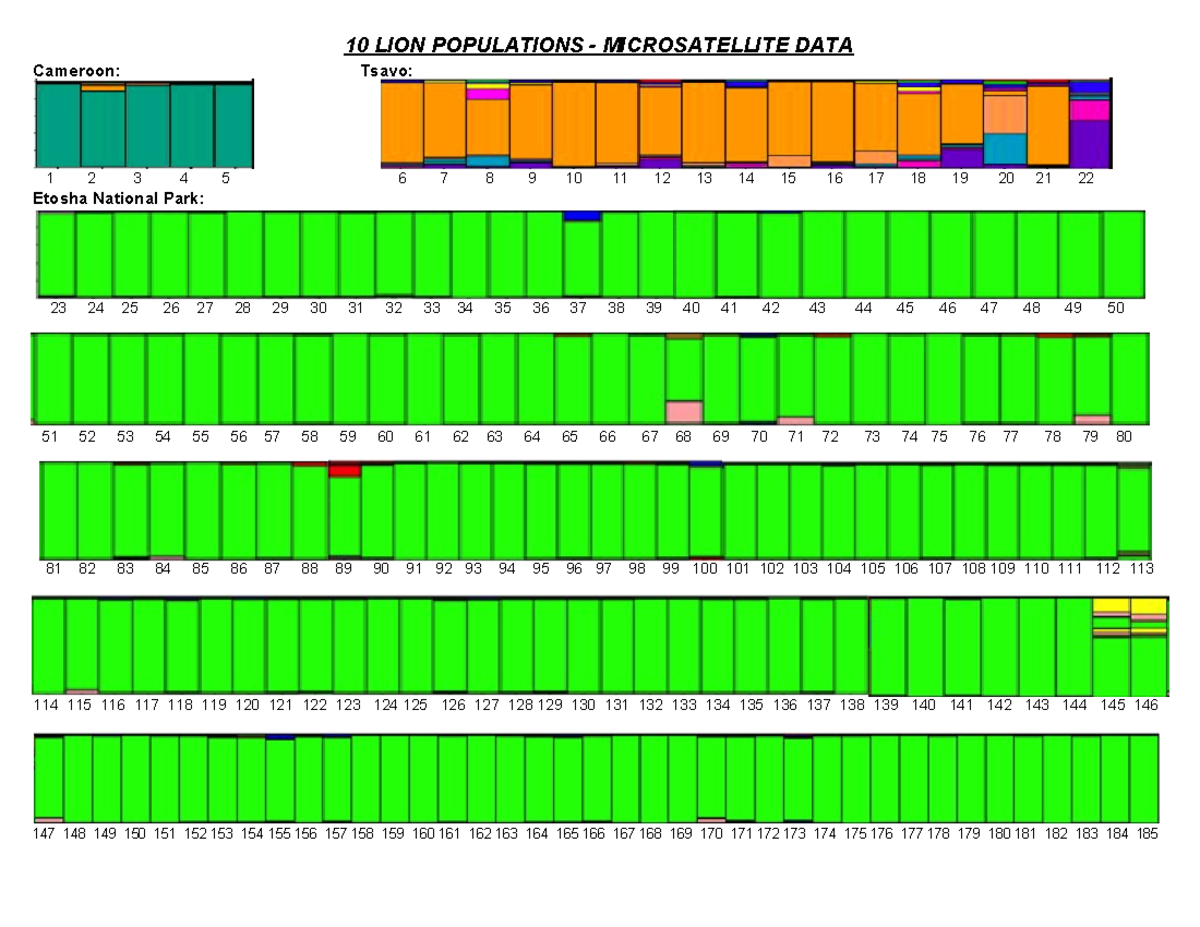 Copy of Microsatellites - 10 lion populations entire database - 10 LION ...