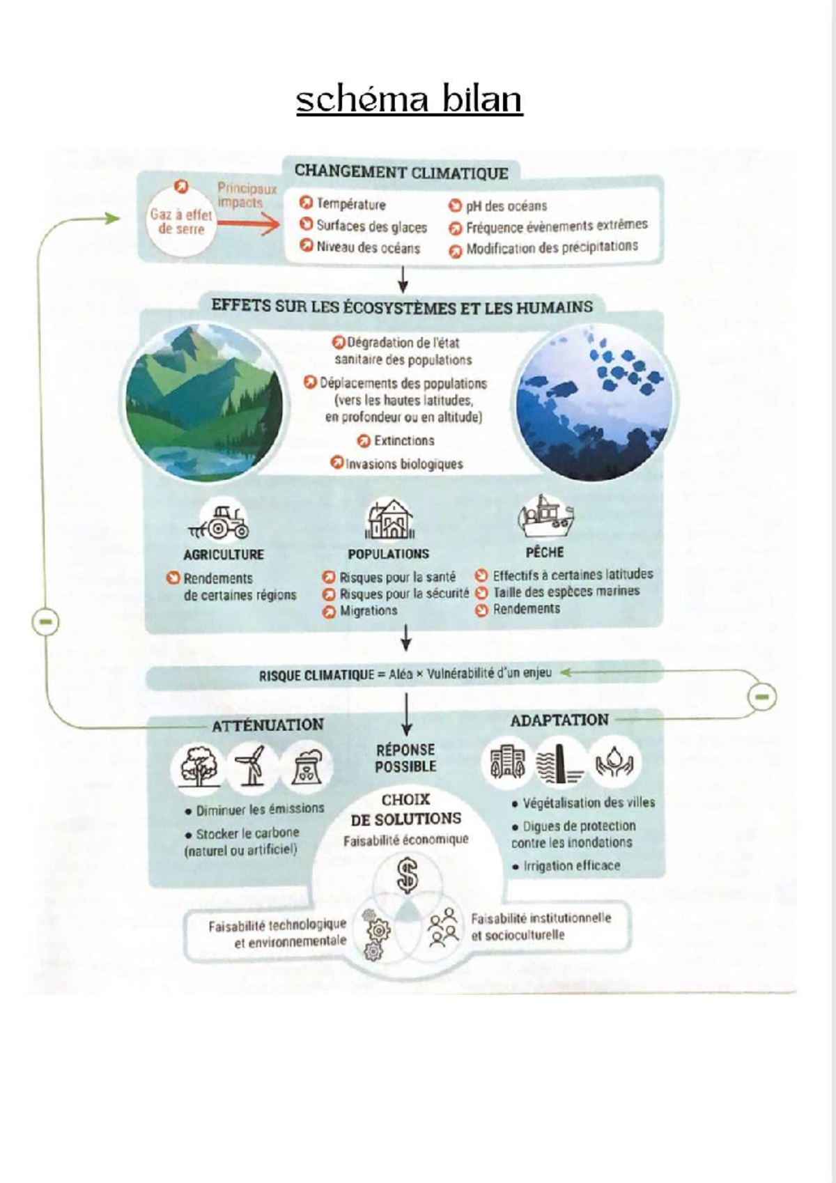 Image 5 - fiche bilan cours: effet du changement climatique - Sciences de la vie et de la Terre ...