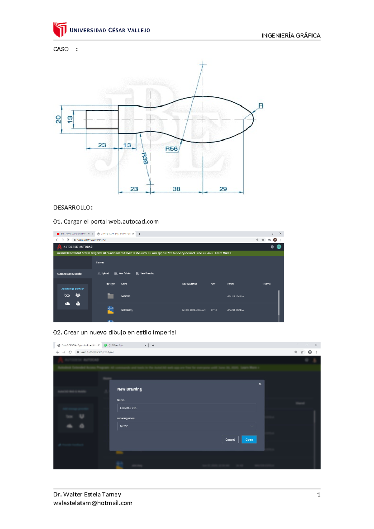 GUIA - Memoria USB - es autocad - CASO : DESARROLLO: Cargar el portal ...
