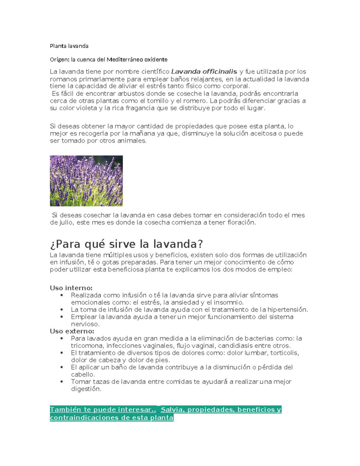 Lavanda - Resumen Biología - Planta lavanda Origen: la cuenca del ...