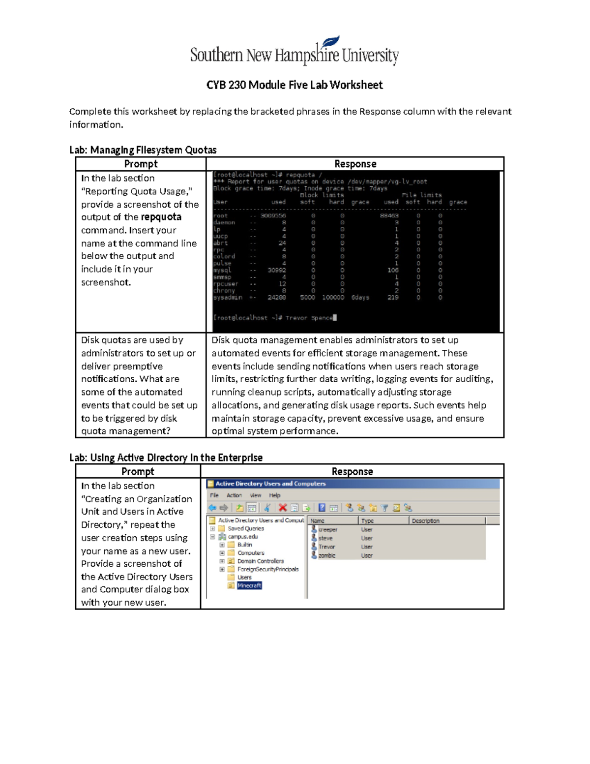 CYB 230 Module Five Lab Worksheet - CYB 230 Module Five Lab Worksheet ...