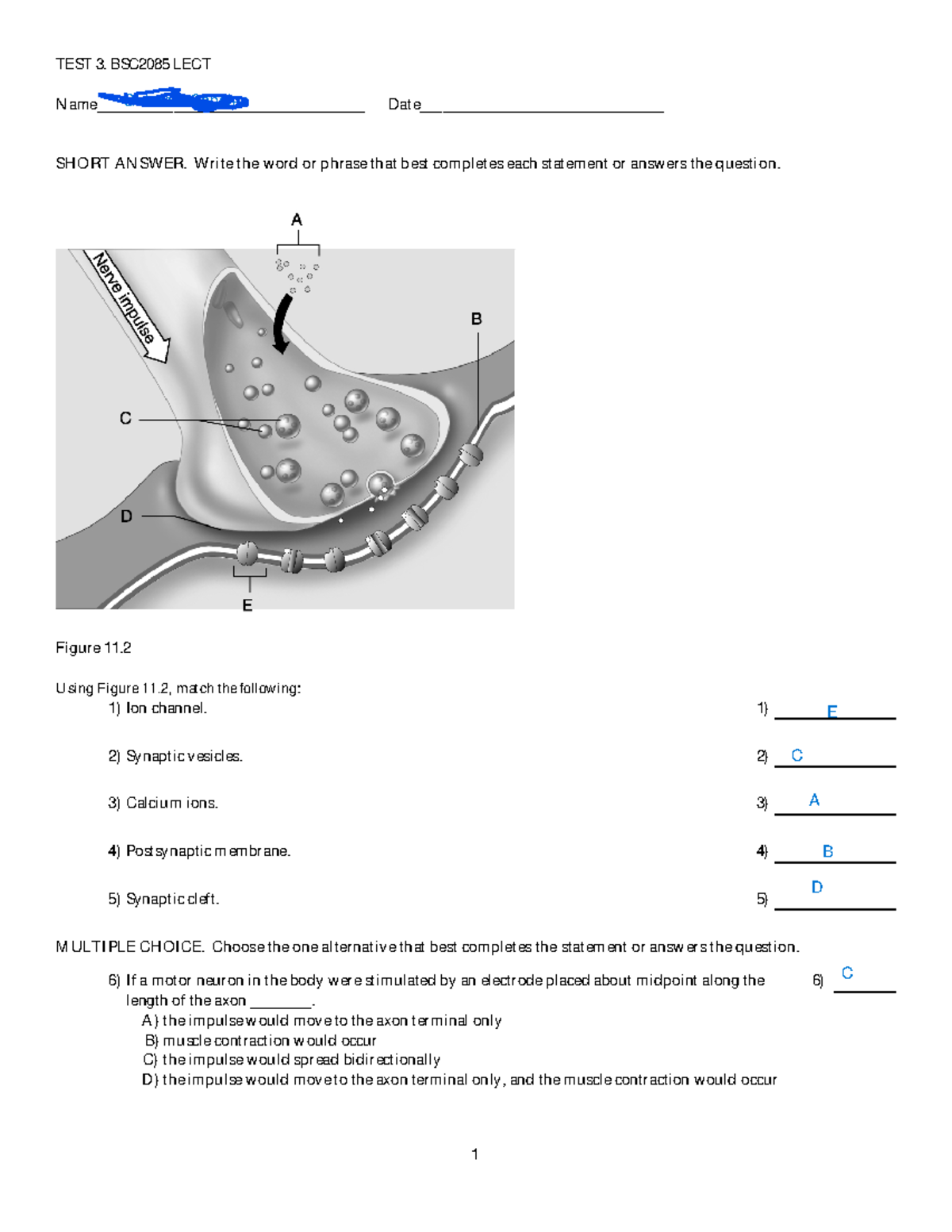 TEST 3. BSC2085. Summer 2023 - TEST 3. BSC2085 LECT N ame