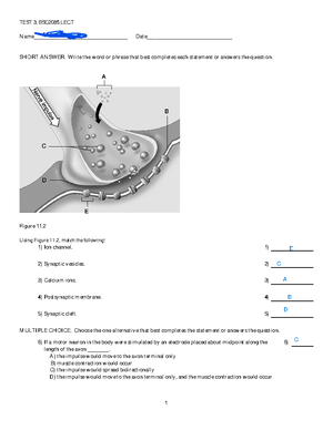 Ch 17 Endocrine System Slides UNIT 1 - Because learning changes ...