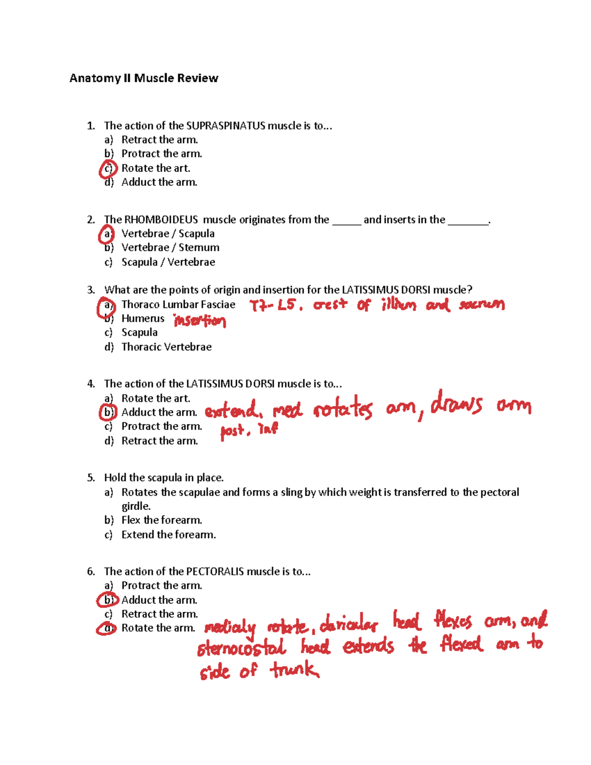 Anatomy Muscle Review-Term II - Anatomy II Muscle Review The action of ...