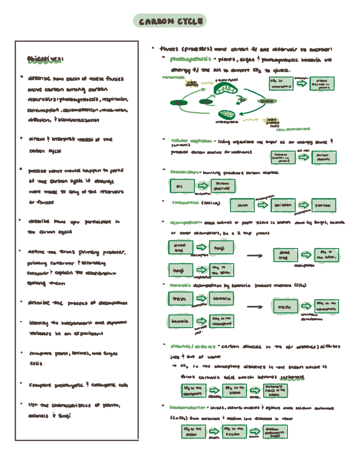 BIO 101 Unit Summary Carbon Cycle Handwritten - CARBONCYCLE objectivism ...