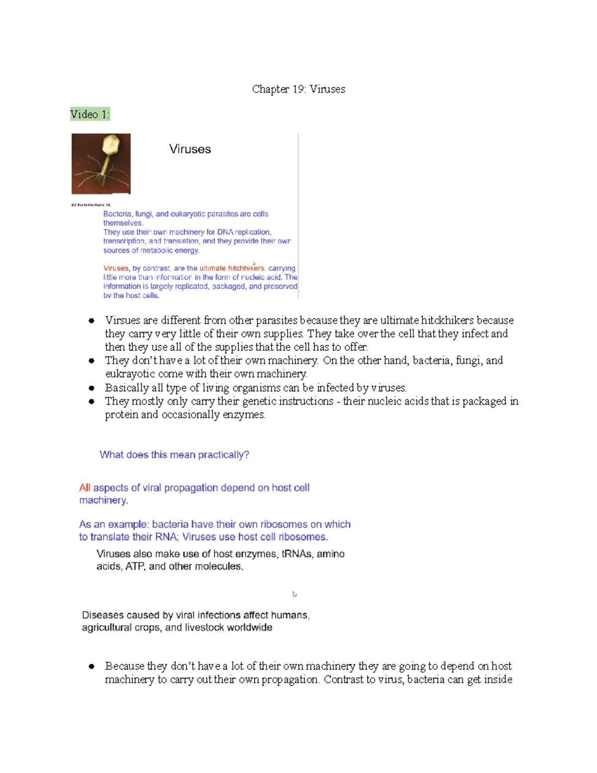 Chapter 19 Viruses - Chapter 19: Viruses Video 1: Virsues are different ...