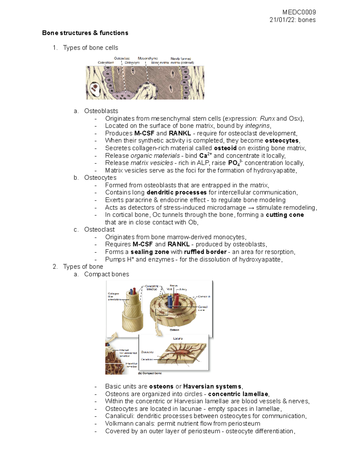 Bone structures & functions - It provides an insight into: the ...