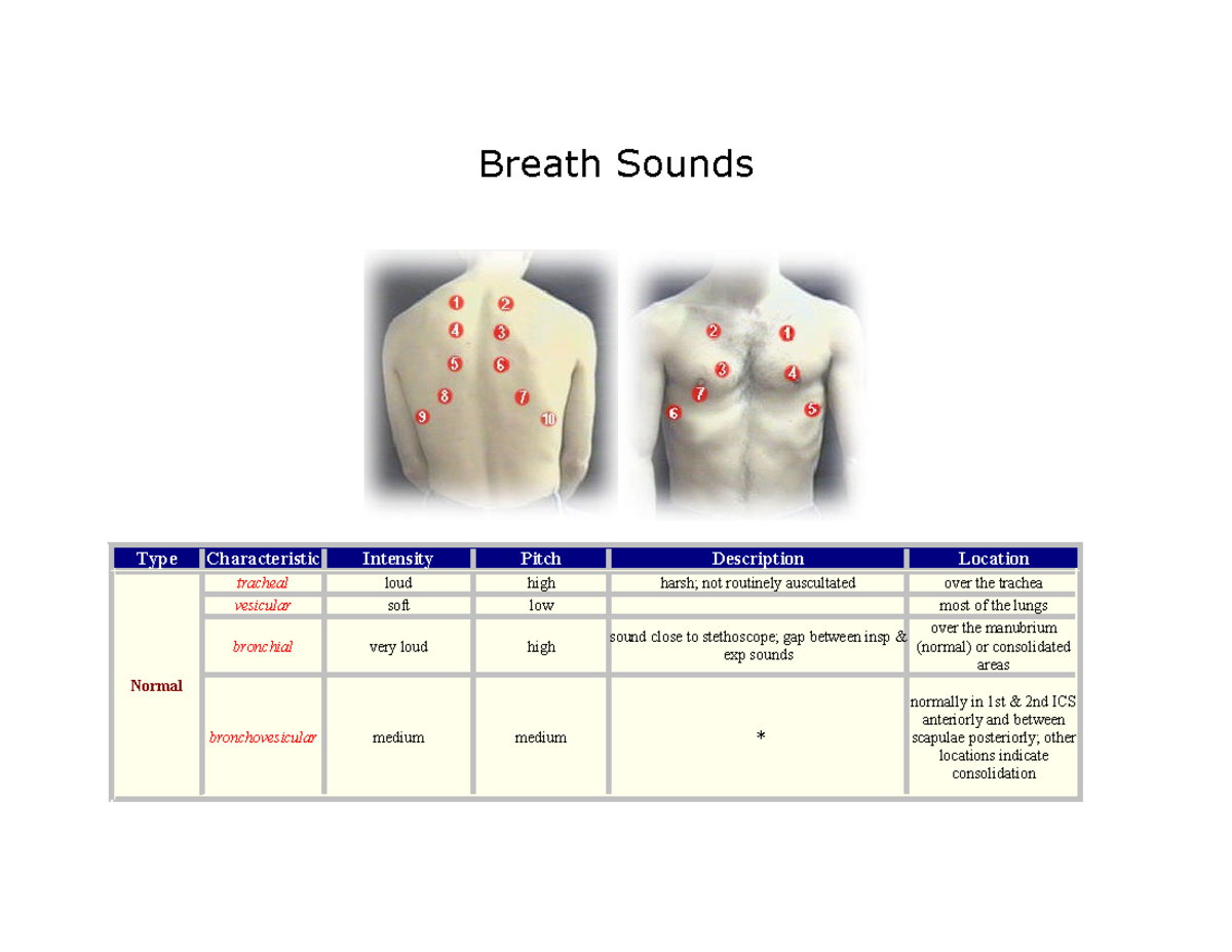 Breath Sounds Sheet - Breath Sounds Type Characteristic Intensity Pitch ...
