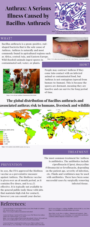Biochemical Tests in Microbiology answer sheet - Biochemical Tests in ...