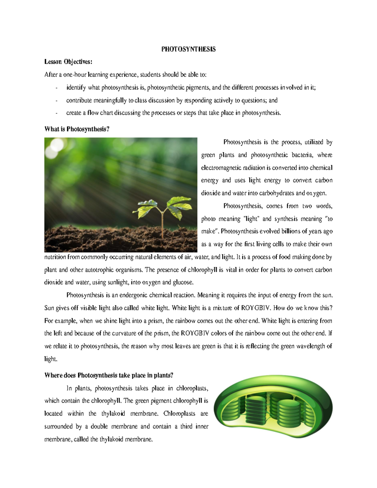 CMB Handout Banayo, R - PHOTOSYNTHESIS Lesson Objectives: After a one ...