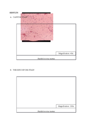 Practical Manual MIC462 - A Laboratory Manual of EUKARYOTIC ...