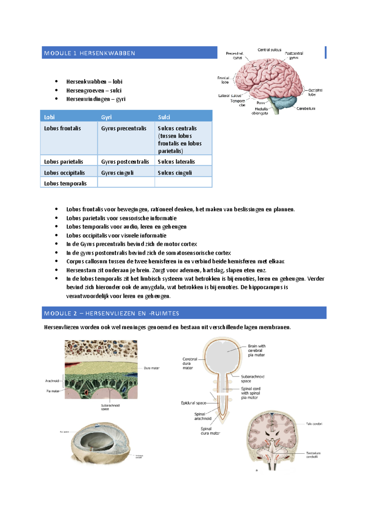 Aantekeningen online Modules - MODULE 1 HERSENKWABBEN Hersenkwabben ...