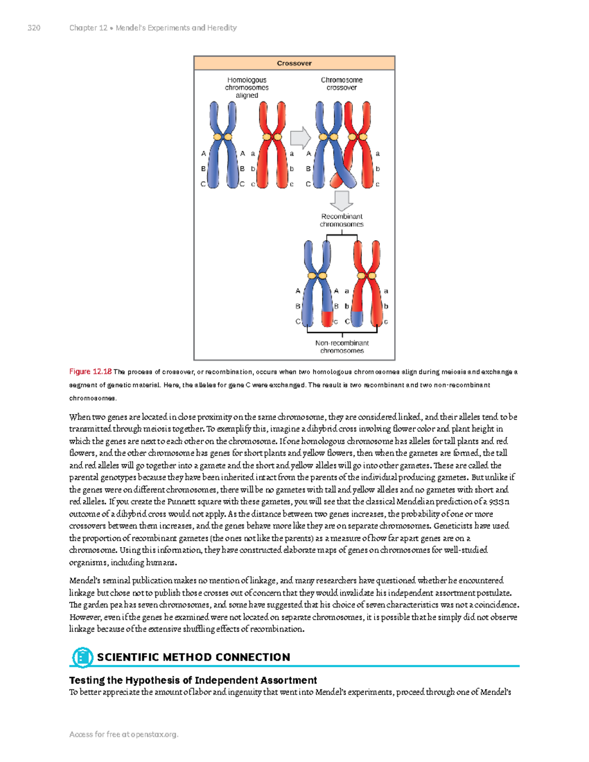 Chapter 12 Mendel's Experiments and Heredity Part 10 - Figure 12 The ...