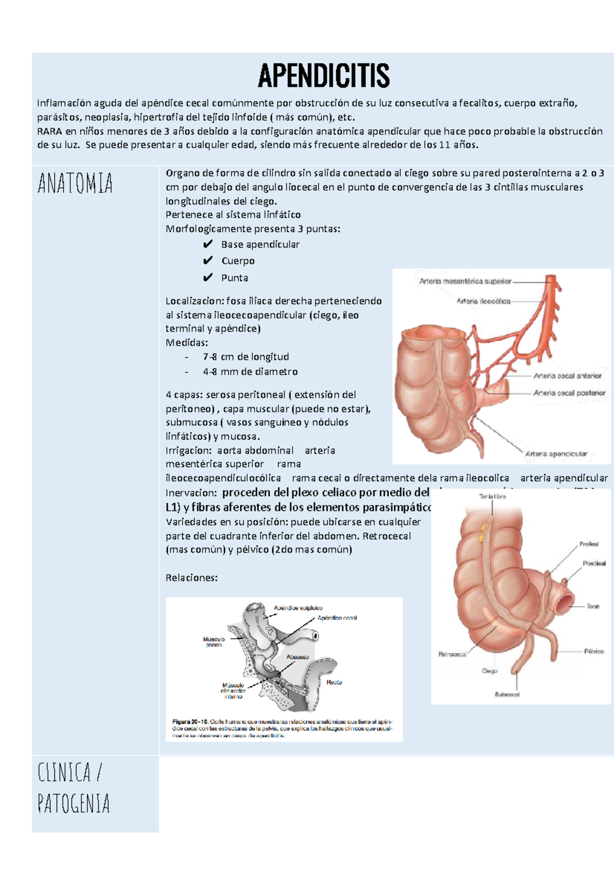 Apendicitis - APENDICITIS Inflamación aguda del apéndice cecal ...