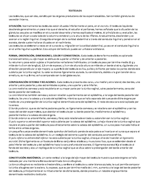 Boca y Faringe - Texto obtenido del Rouviere - CAVIDAD ORAL O BUCAL Es ...