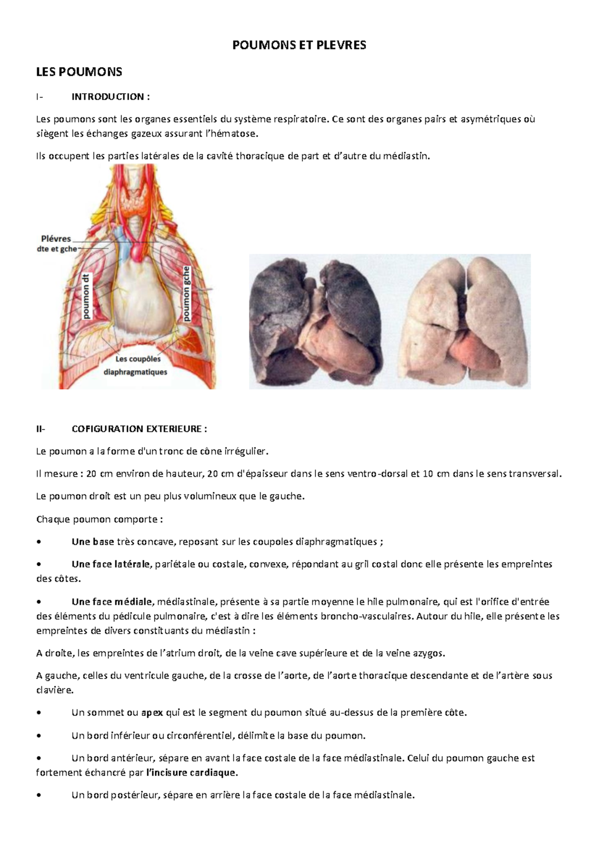 Poumons ET Plevres - POUMONS ET PLEVRES LES POUMONS I- INTRODUCTION ...