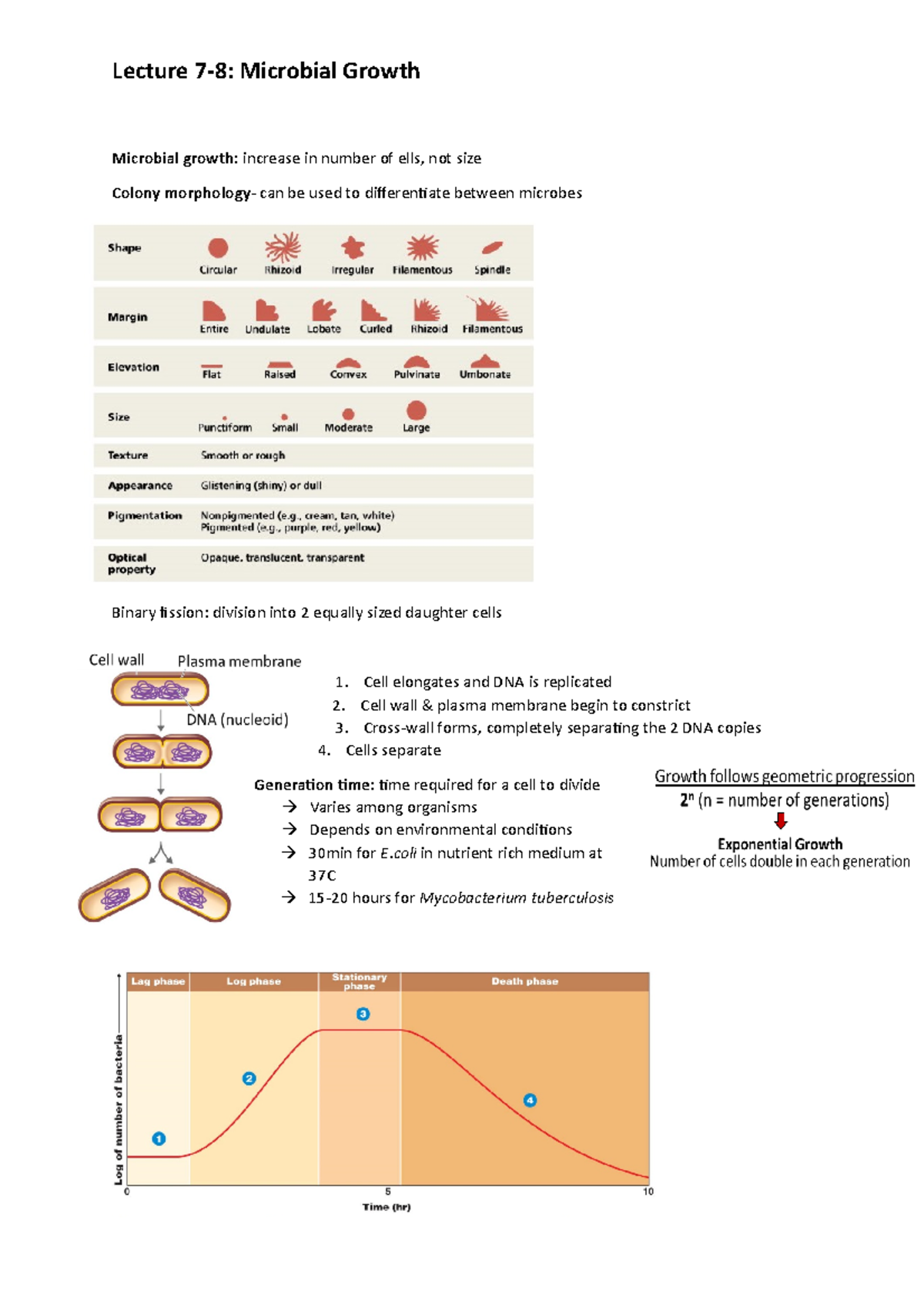 L7-8 Microbial growth - Lecture notes 7-8 - Microbial growth: increase ...